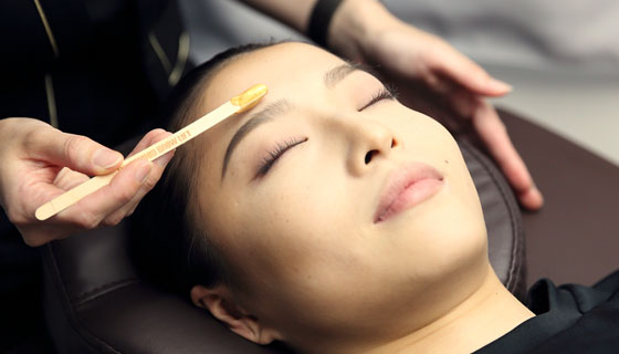 ハリウッドブロウリフト | GANZAN BEAUTY | あなたをトータルで「輝かせる」こだわりの最高級ビューティーメニュー